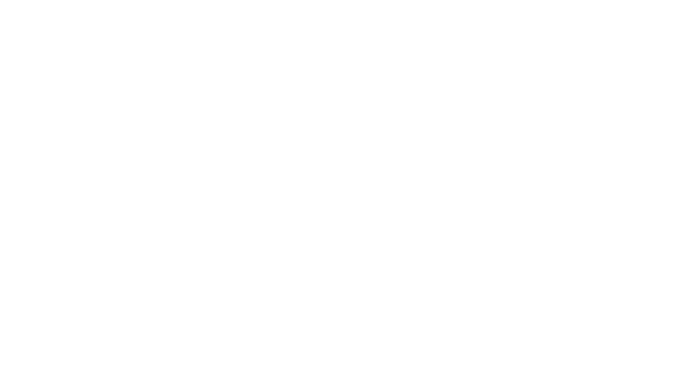 Parc Auto Cluj – Silver Auto | Mașini Second Hand Verificate, Rate ...